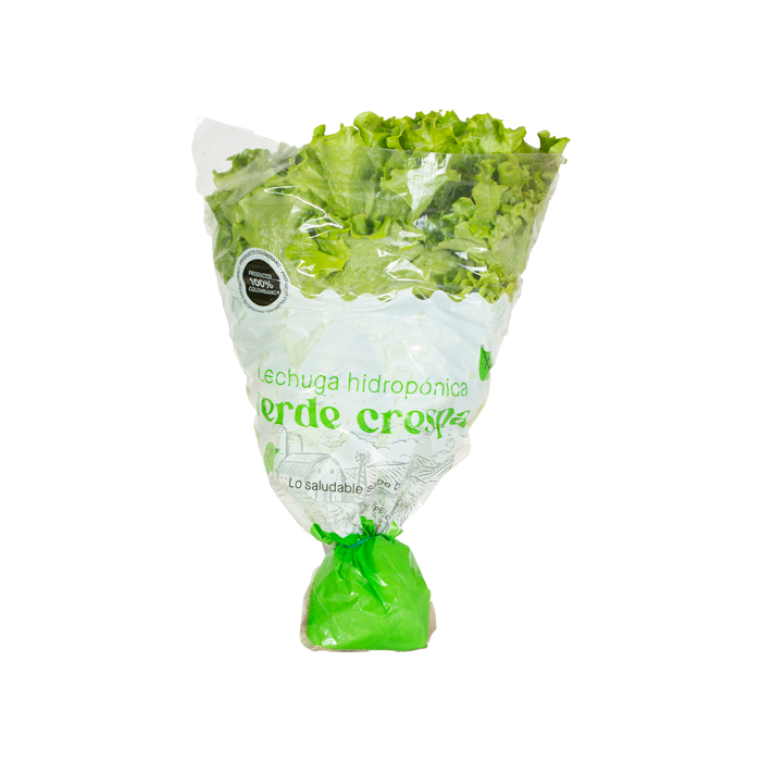LECHUGA VERDE CRESPA X 180 G