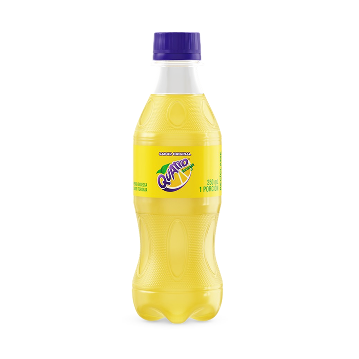 GASEOSA COCA COLA PET 250ML | d1